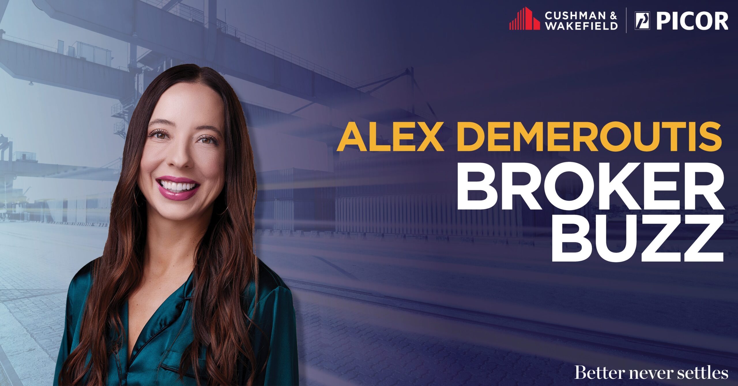 From Chamber of Commerce to CRE, Alex Demeroutis’s Strategic Career ...